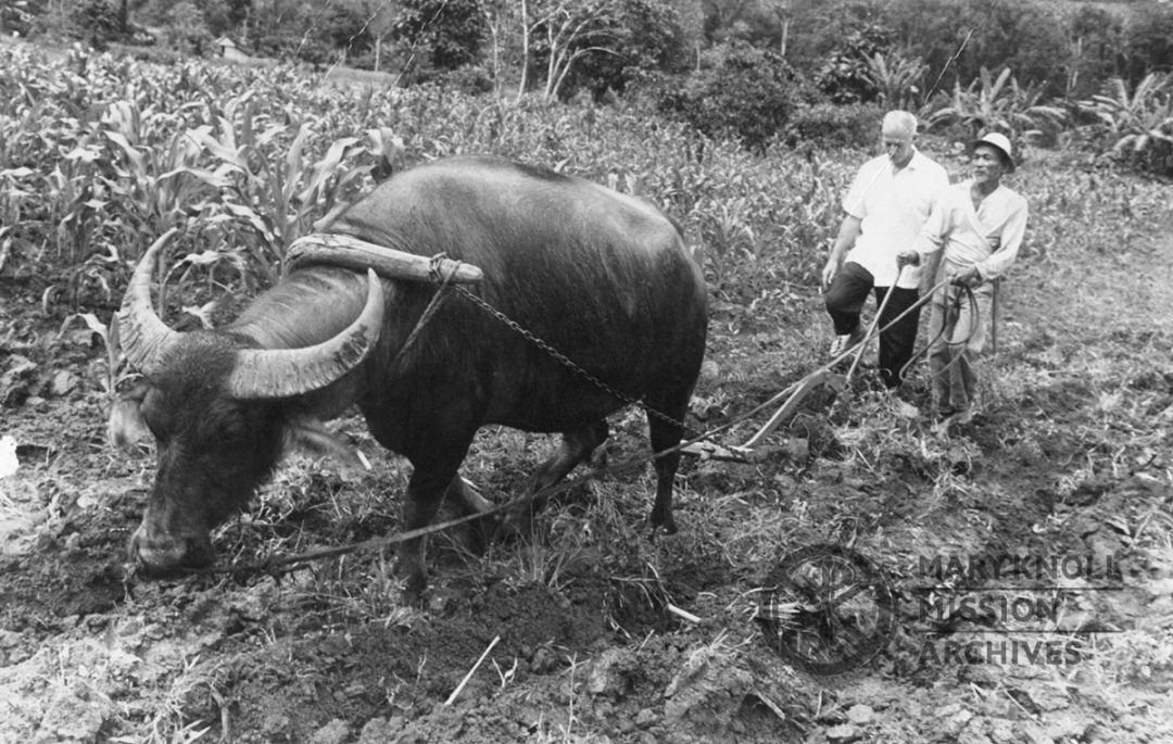 Father Walter Maxcy Missioner to the Philippines | Maryknoll Archives